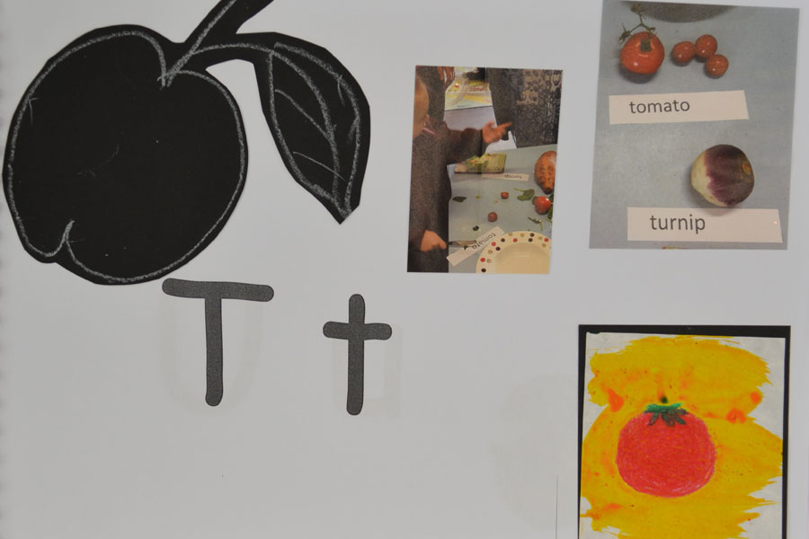 Eating the alphabet – HealthLit4Everyone